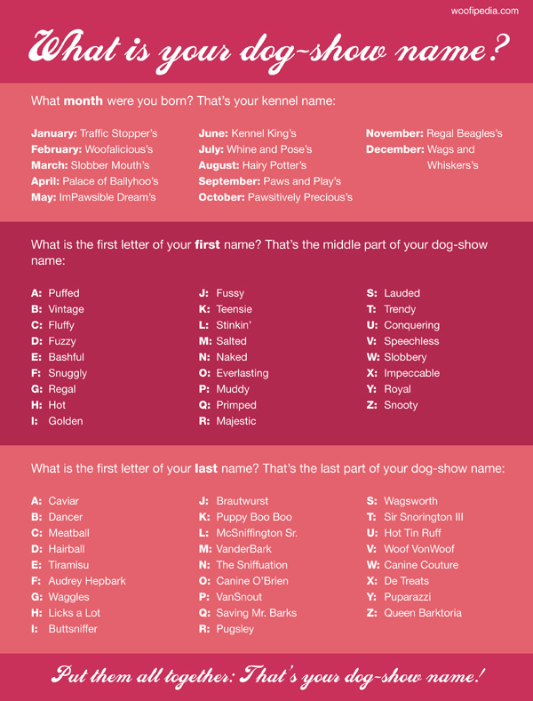 What Is Your Dog Show Name American Kennel Club